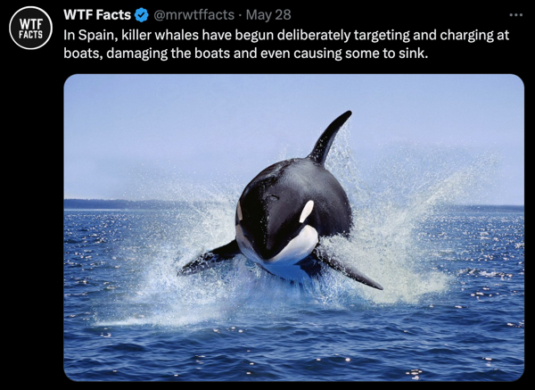 WTF facts that will level up your trivia skills.