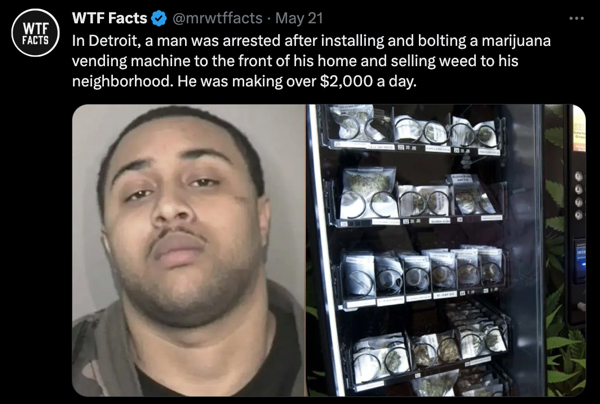 WTF facts that will level up your trivia skills.