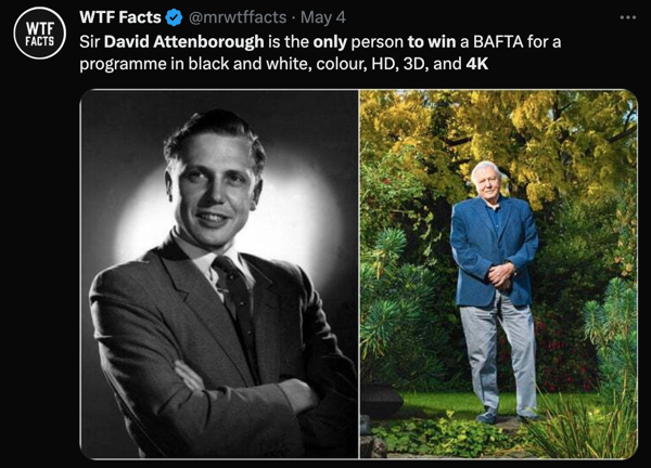 WTF facts that will level up your trivia skills.