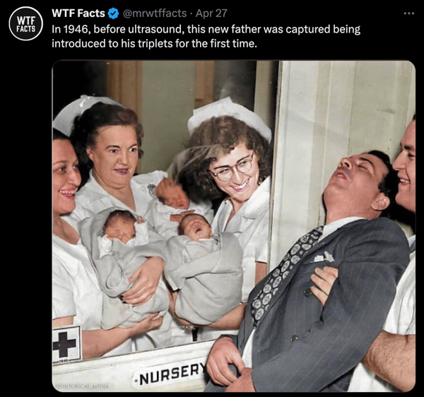 WTF facts that will level up your trivia skills.