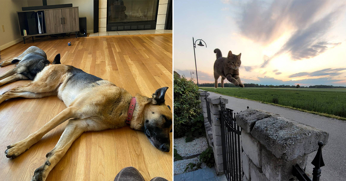 Odd coincidences we had to investigate