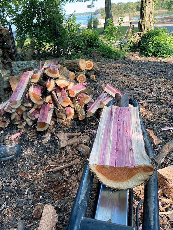 What's inside these random objects? Let's find out