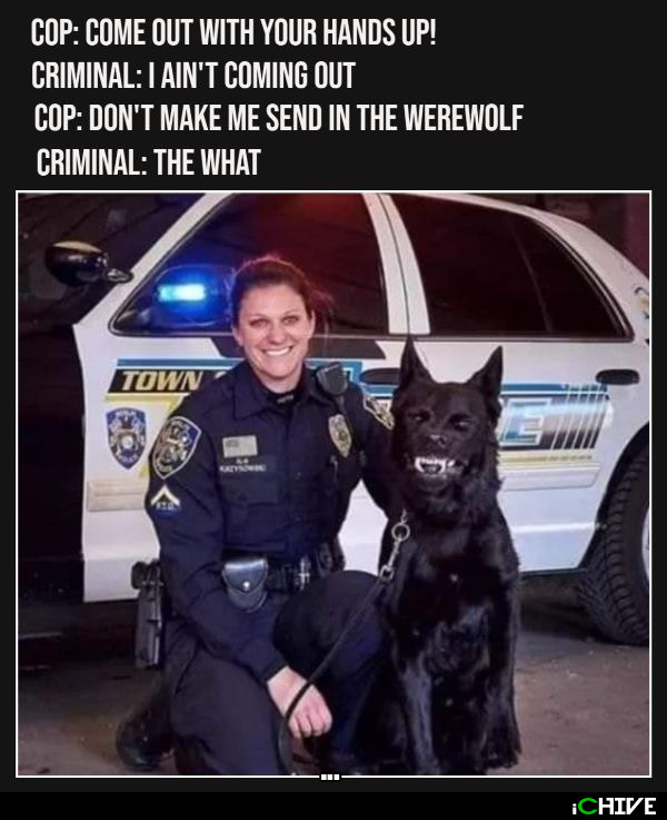 Police Week Tribute Photos to Hero Cops of the THIN BLUE LINE