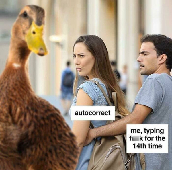 Bird memes that aren't just for avian enthusiasts