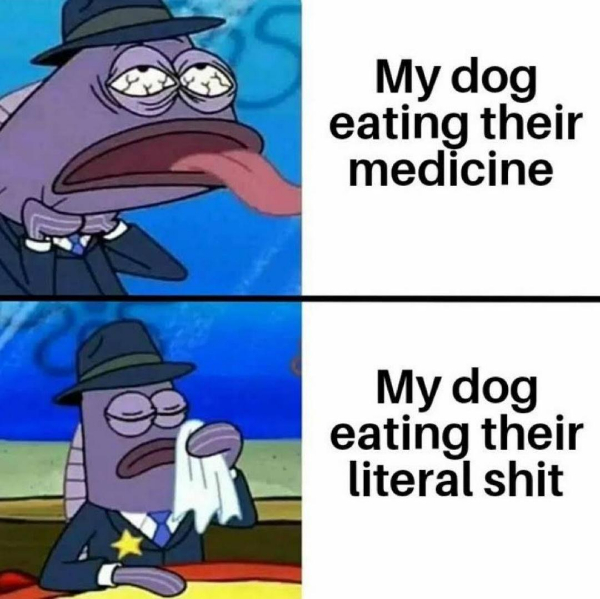 Dank Memes Keep Me Healthy and Happy
