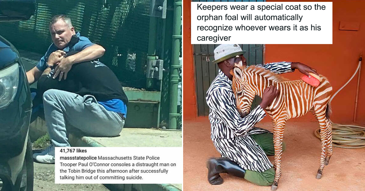 Beautiful Pictures | Pretty Pics - theCHIVE