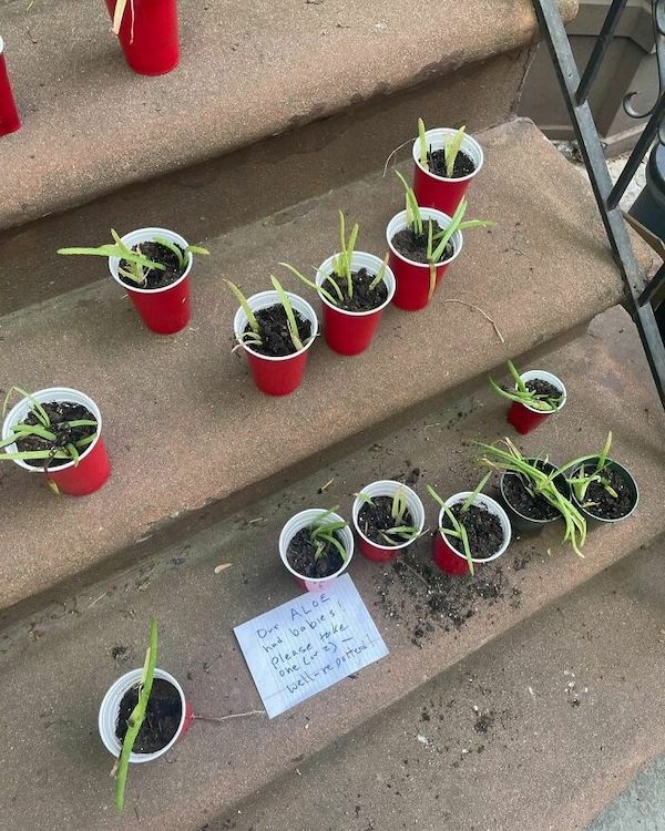 These people found the most amazing "trash" I've ever seen (32 Photos)