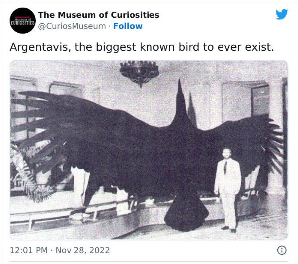 Weird & Fascinating Historical Curiosities