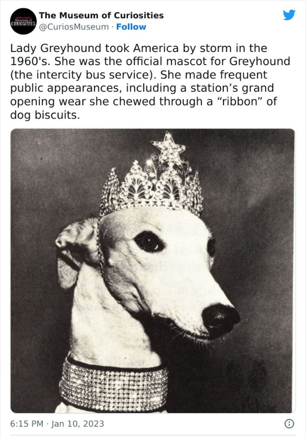 Weird & Fascinating Historical Curiosities