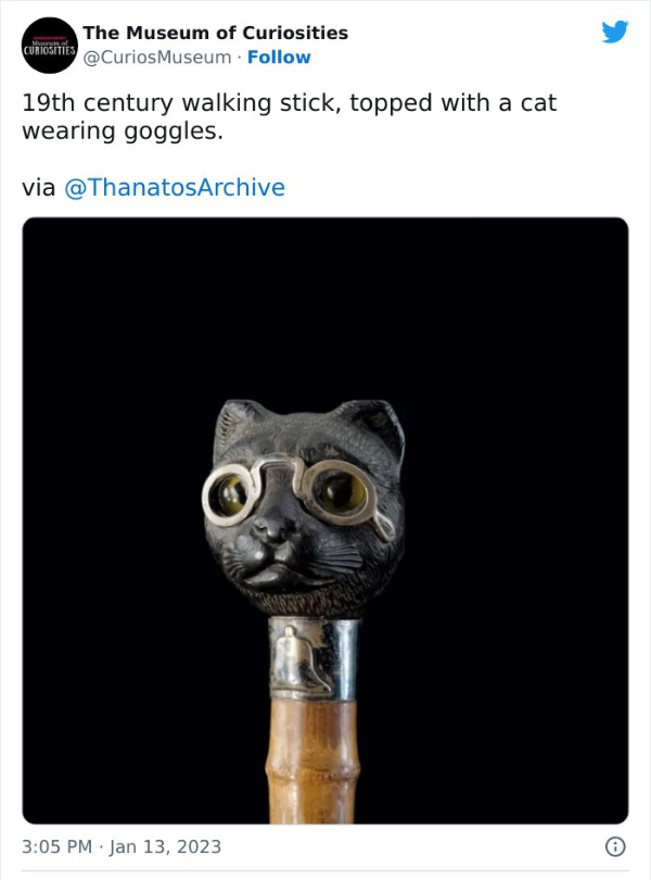 Weird & Fascinating Historical Curiosities