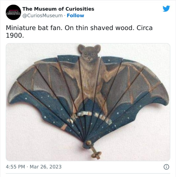 Weird & Fascinating Historical Curiosities