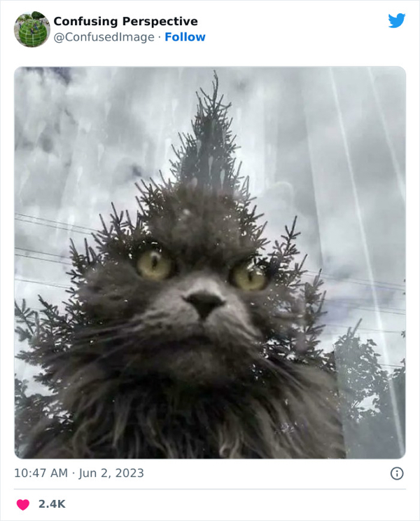 Confusing perspectives leave us utterly befuddled