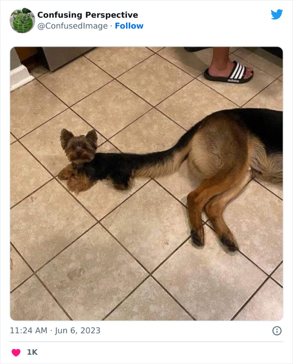 Confusing perspectives leave us utterly befuddled