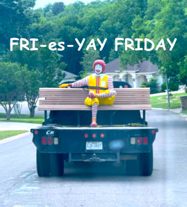 Mind-LESS Memes Best Stupid Funny Logic Photo Caption 2023 New Picture