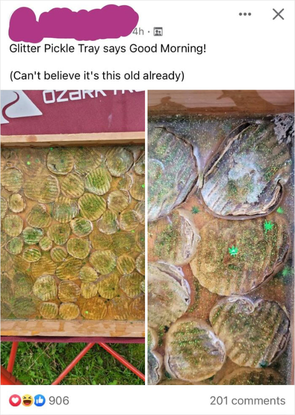 These Crafts Are Crap