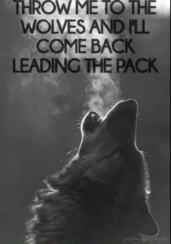 Modern Day Philosophers of the Internet...