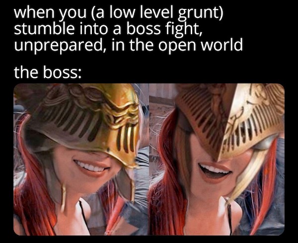 Gamers of the world will understand all these memes far too well!