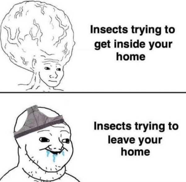 Truthful Memes to make you laugh, nod, then cry a little.