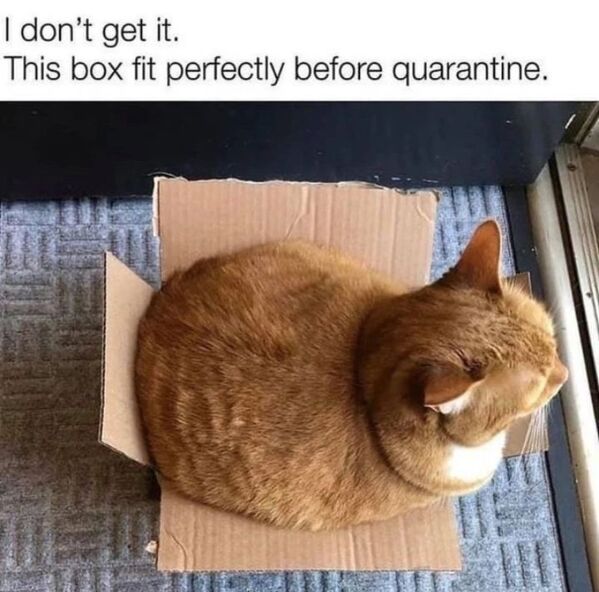 Saturdays Are for Da Cats