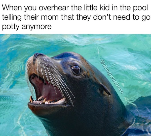 Hot memes for this absurdly hot summer