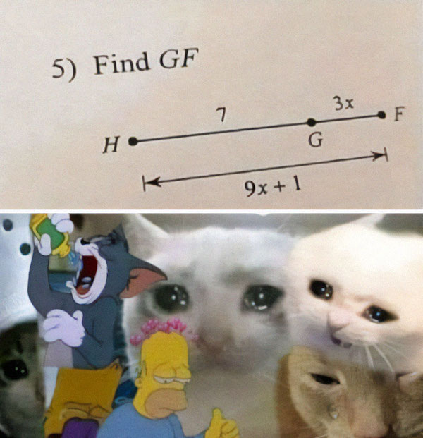 Frankly, we're not sure we fully understand these math memes