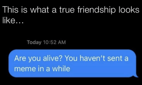 Mind-LESS Memes Best Stupid Funny Logic Photo Caption 2023 New Picture