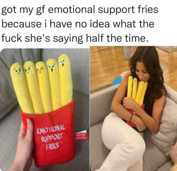 Mind-LESS Memes Best Stupid Funny Logic Photo Caption 2023 Pictures