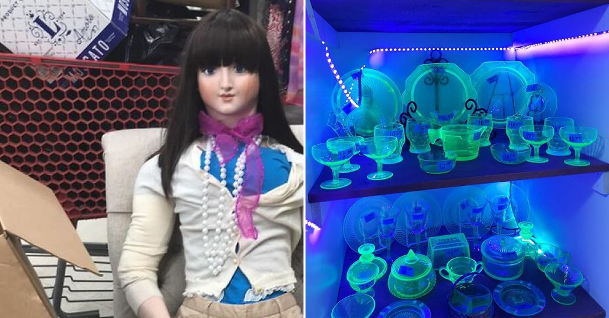 Daily Humor and Funny Stuff - Videos & Jokes - theCHIVE