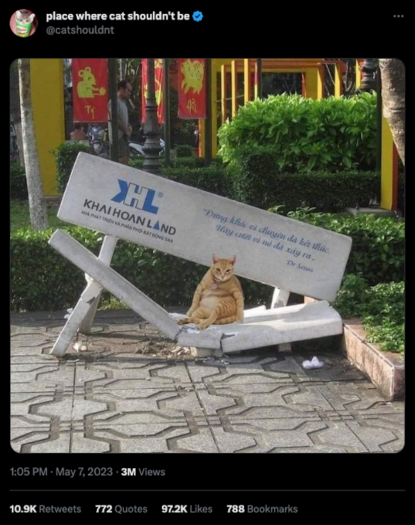 Cats are masters at getting into strange places & situations