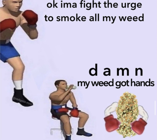 Stoner memes to pair with the mountain of snacks sitting next to you