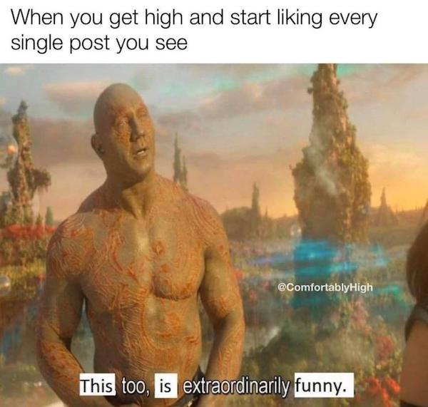 Stoner memes to pair with the mountain of snacks sitting next to you