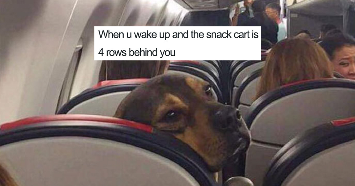 Vacation Memes | Funny Travel Memes, Pics & Videos - theCHIVE