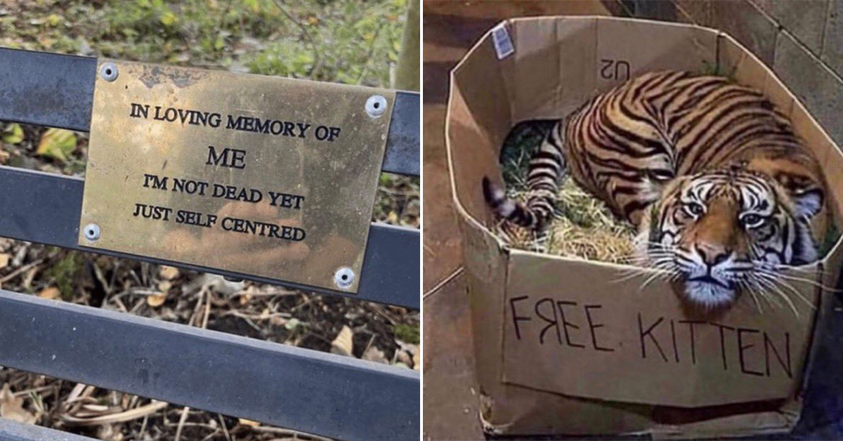 No context needed, and none provided