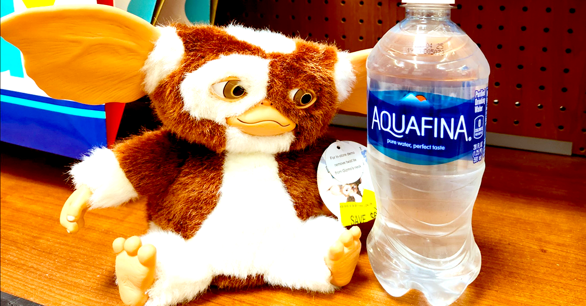 Daily Afternoon Randomness | Random Memes, Photos & Gifs - theCHIVE