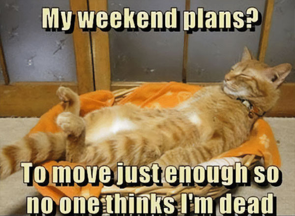 One last volley of weekend memes right before your actual weekend