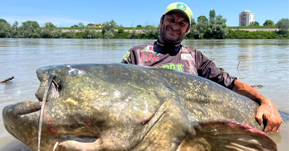 theCHIVE - Funny Pictures, Photos, Memes & Videos – theCHIVE.com