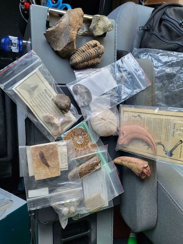 INSANE things people found while…dumpster diving!? (32 Photos)