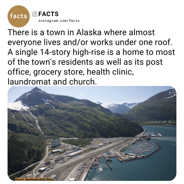 Facts that will make you smarter than the average bear
