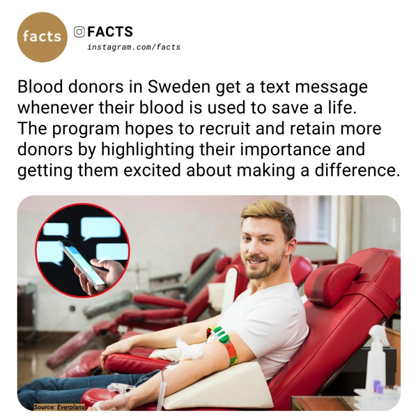 Facts that will make you smarter than the average bear