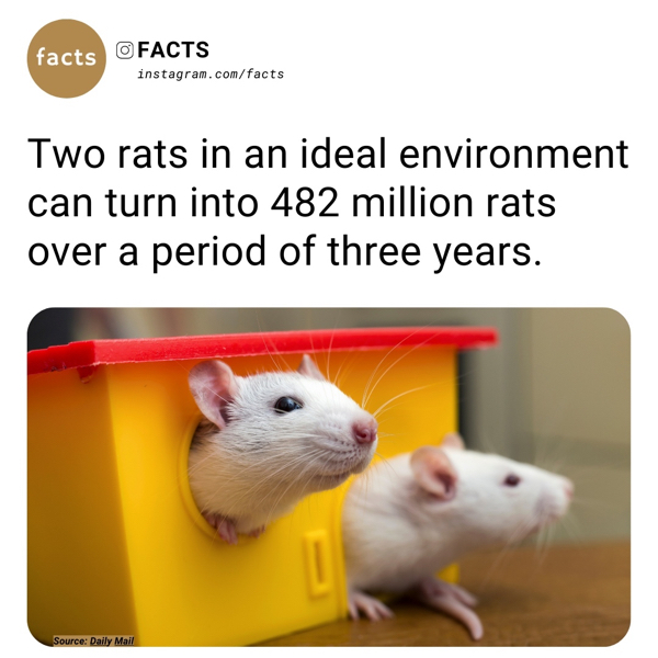 Facts that will make you smarter than the average bear