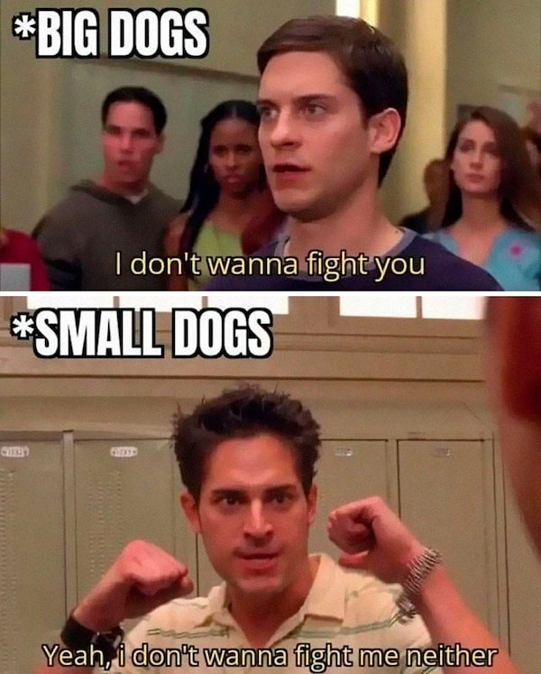 Truthful Memes to make you laugh, nod, then cry a little.