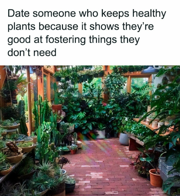 A Green Thumbs up to These Plant Memes!