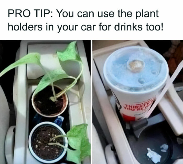 A Green Thumbs up to These Plant Memes!