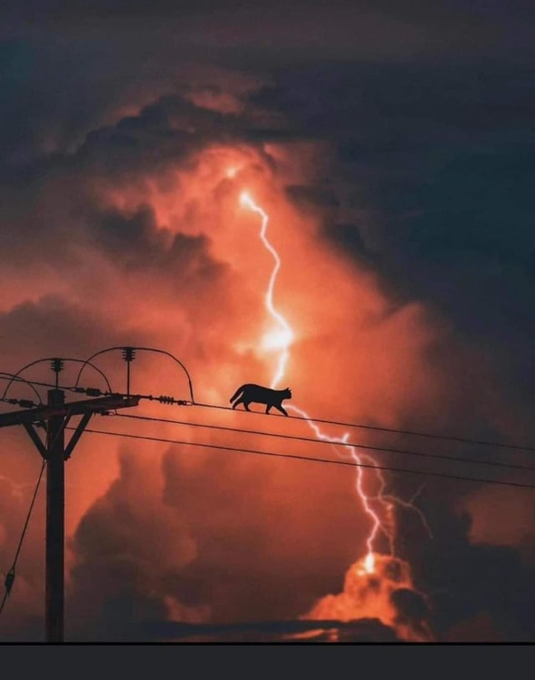 Random photos that could be awesome album covers