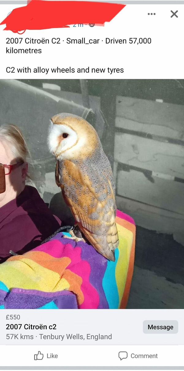 Unhinged (yet potentially brilliant) ads created by misguided people