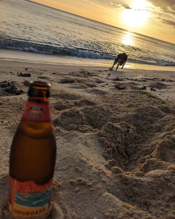 Who Let the Dogs Out?