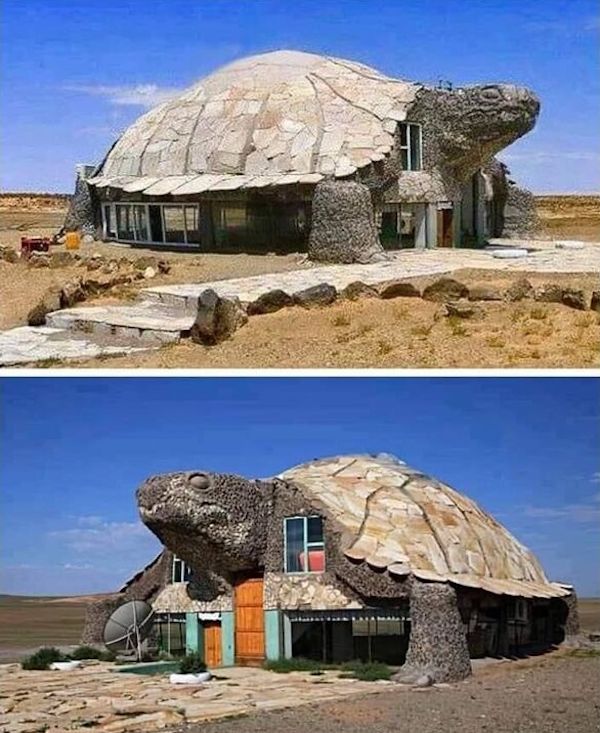 WTF Strange Photos Have Got Some Explaining to Do Photo Compilations