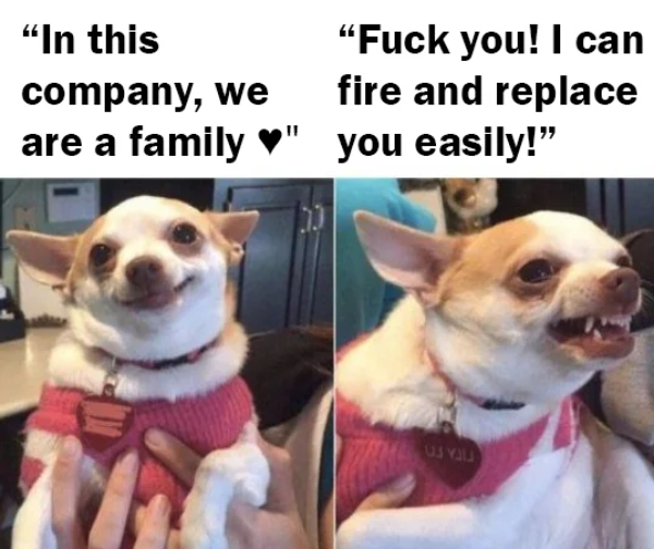 Anybody Need Some Dank Memes?