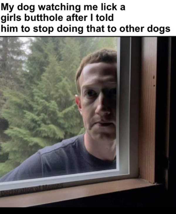 Take a Bite Outta Dank Memes