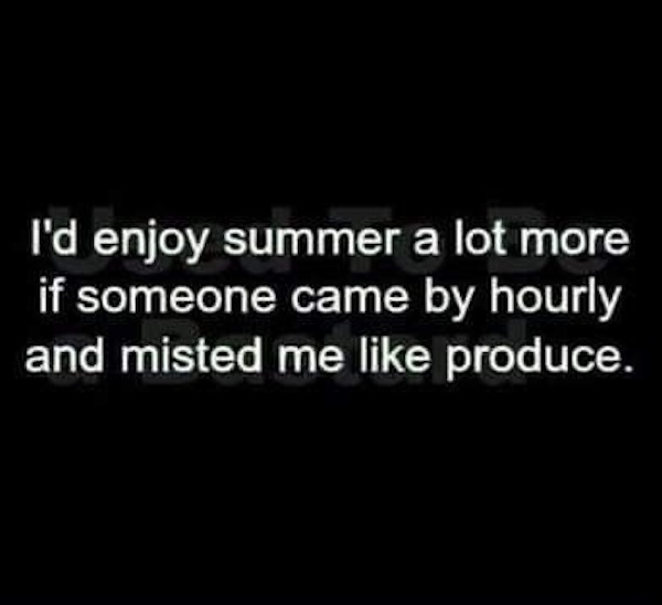 Mac 'n CHEESY Morning Memes Photo Captions Work Sucks Tuesday Pictures